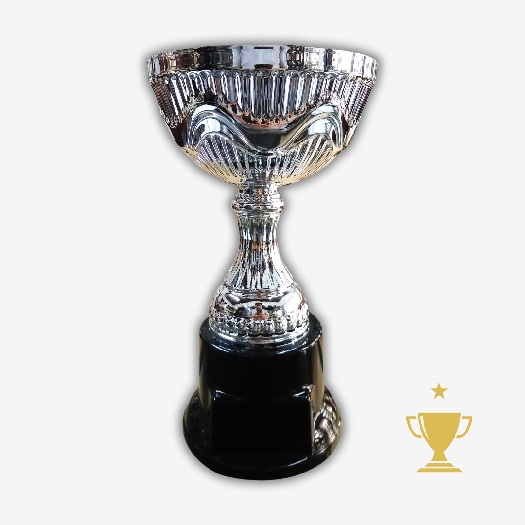 Inicio - Trofeos StAr